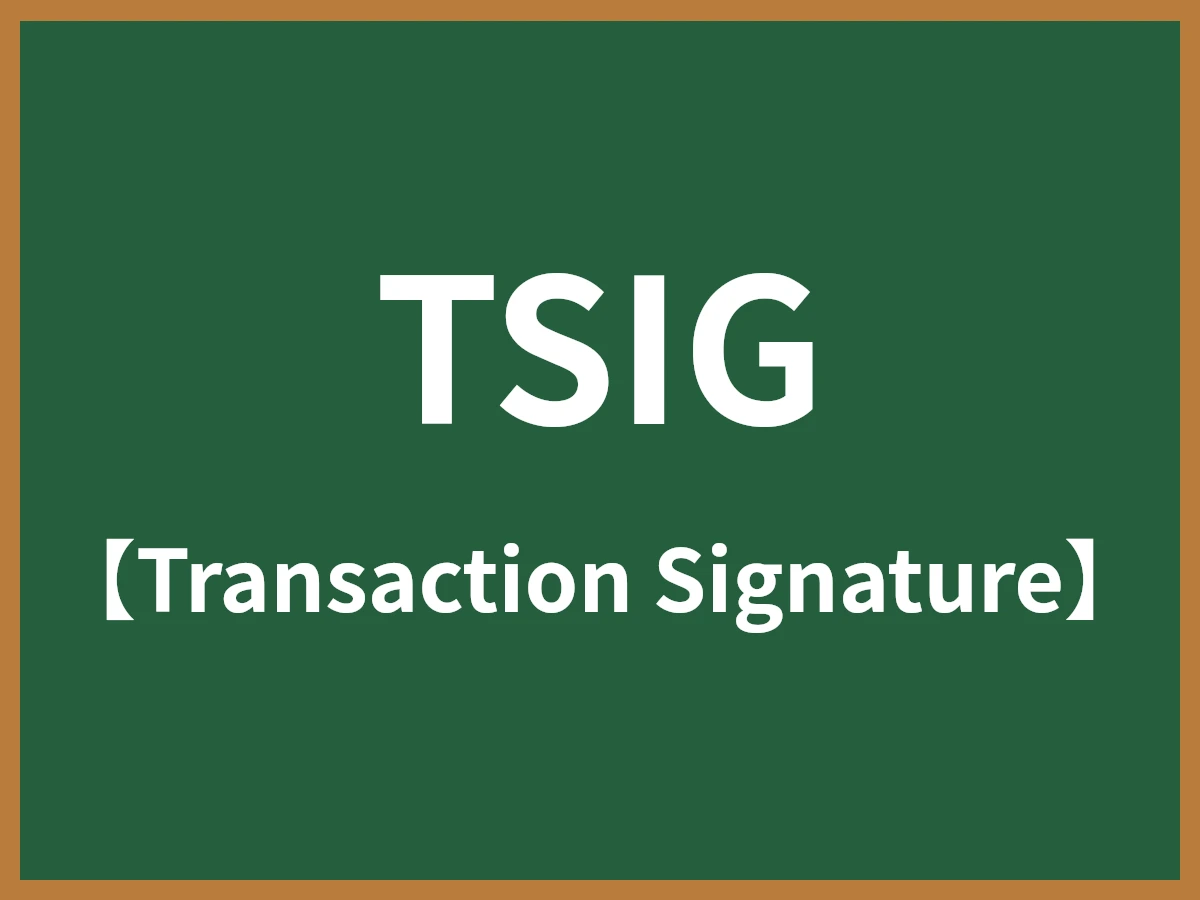 TSIG（トランザクション署名）とは - IT用語辞典 e-Words